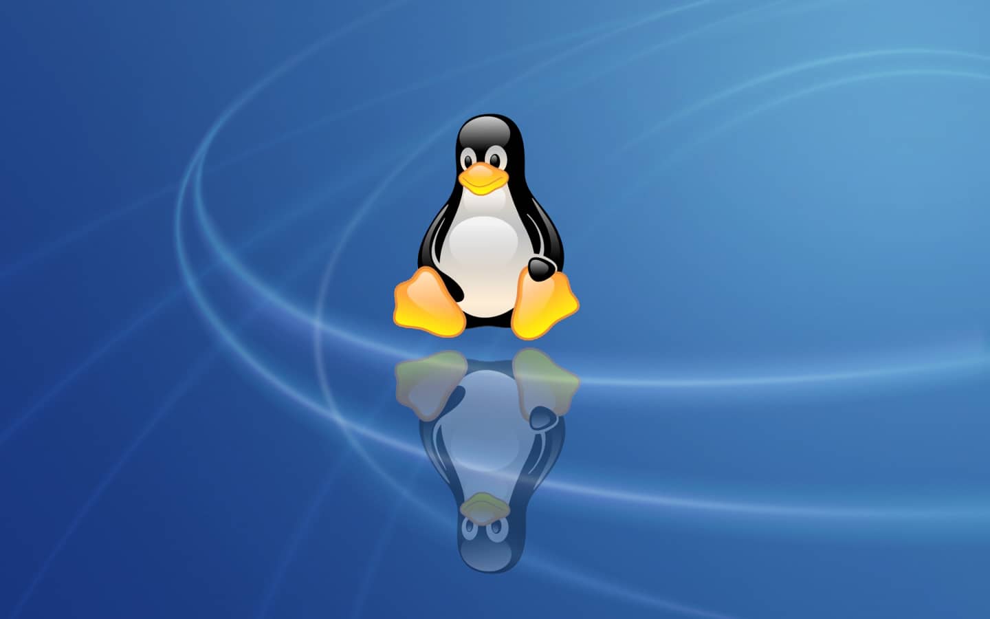 Повышение привилегий в Linux. Скрипт | CISOCLUB