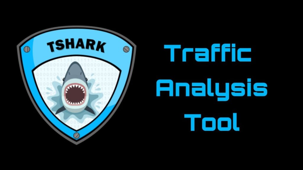 Руководство по TShark